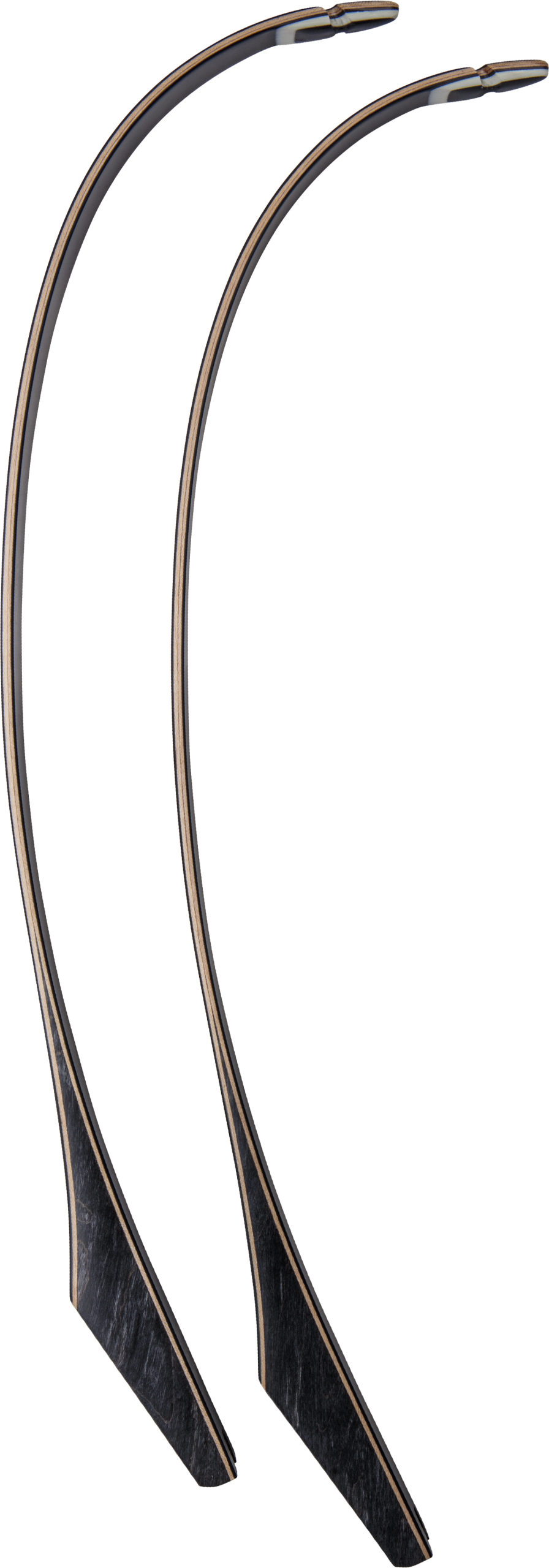 Take Down Limbs - Black Gloss / 45 / #1 - Bear Archery Pro Shop ...